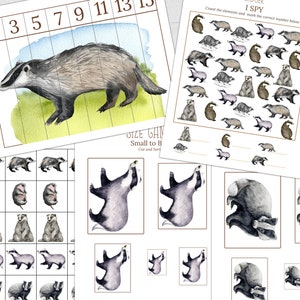Badger Unit Study: Homeschool Science, Anatomy & Life Cycle (printable ...