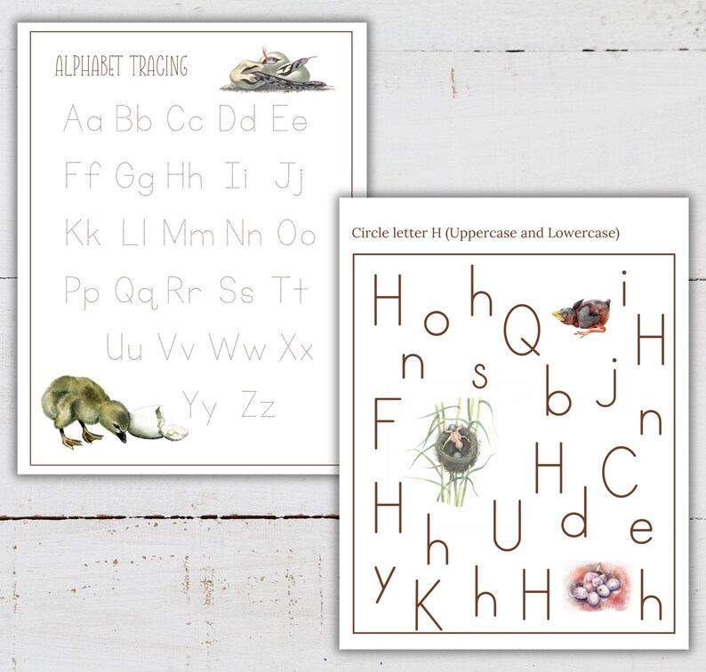 Letter H Hatchling Printable: Alphabet Learning Activities (digital ...