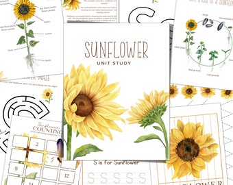 TOMATO Unit Study, Life Cycle, Anatomy, Nature Study, Science ...