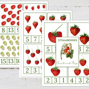 STRAWBERRIES Unit Study, Life Cycle, Anatomy, Nature Study, Science ...