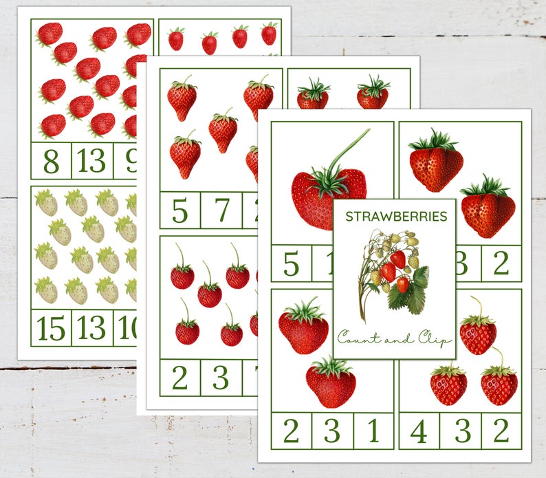 STRAWBERRIES Unit Study, Life Cycle, Anatomy, Nature Study, Science ...
