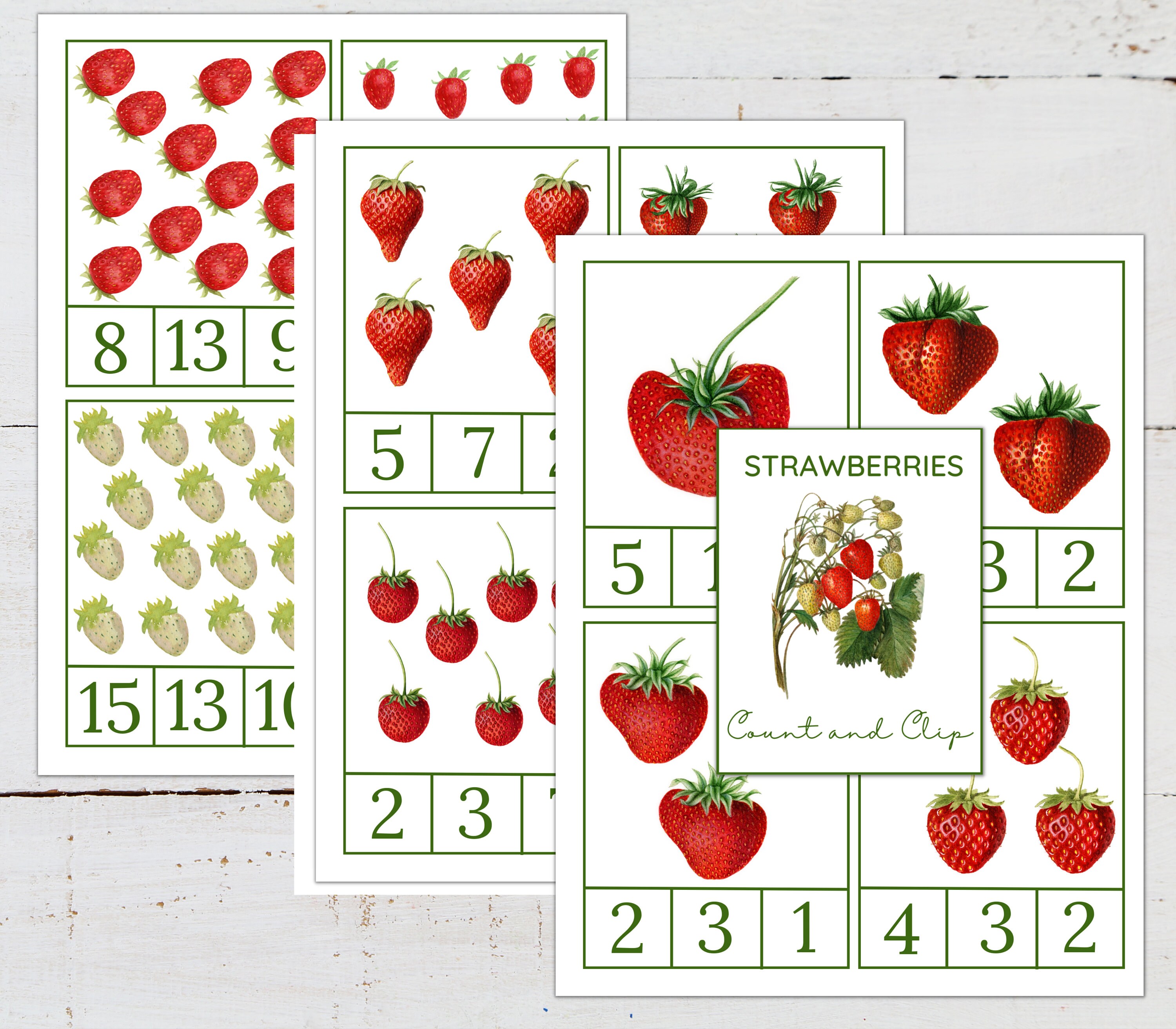 STRAWBERRIES Unit Study, Life Cycle, Anatomy, Nature Study, Science ...