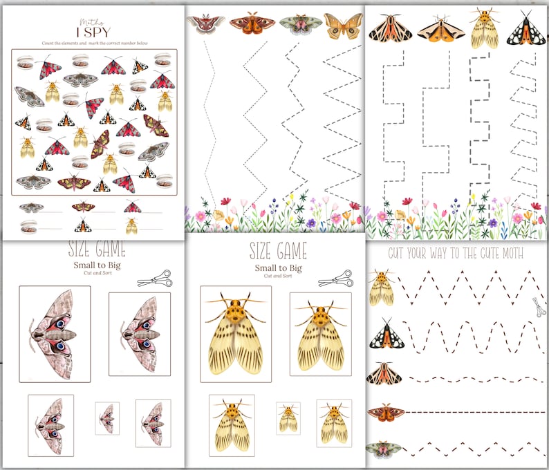 Moths Unit Study: Life Cycle, Anatomy, Homeschool Printable (instant ...