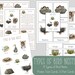 BIRD NESTS Unit Study, Nature Study, Science, Handwriting, Homeschool ...