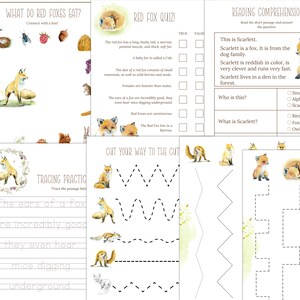 RED FOX Unit Study Life Cycle Anatomy Nature Study - Etsy
