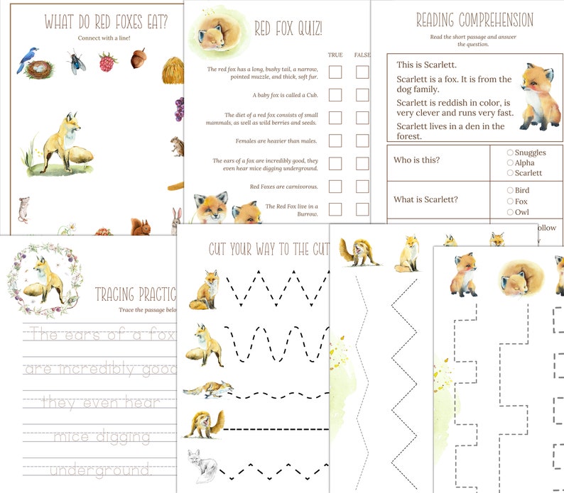 RED FOX Unit Study Life Cycle Anatomy Nature Study - Etsy