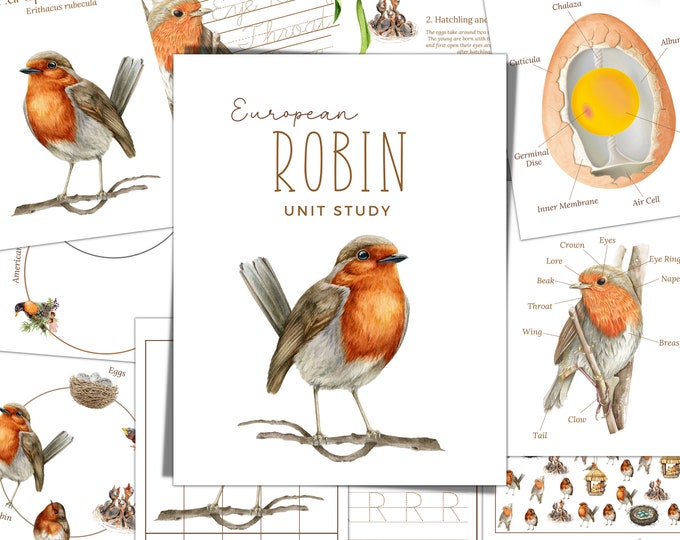 Robin Anatomy Diagram - Educational Birds Species Printable - Etsy Canada