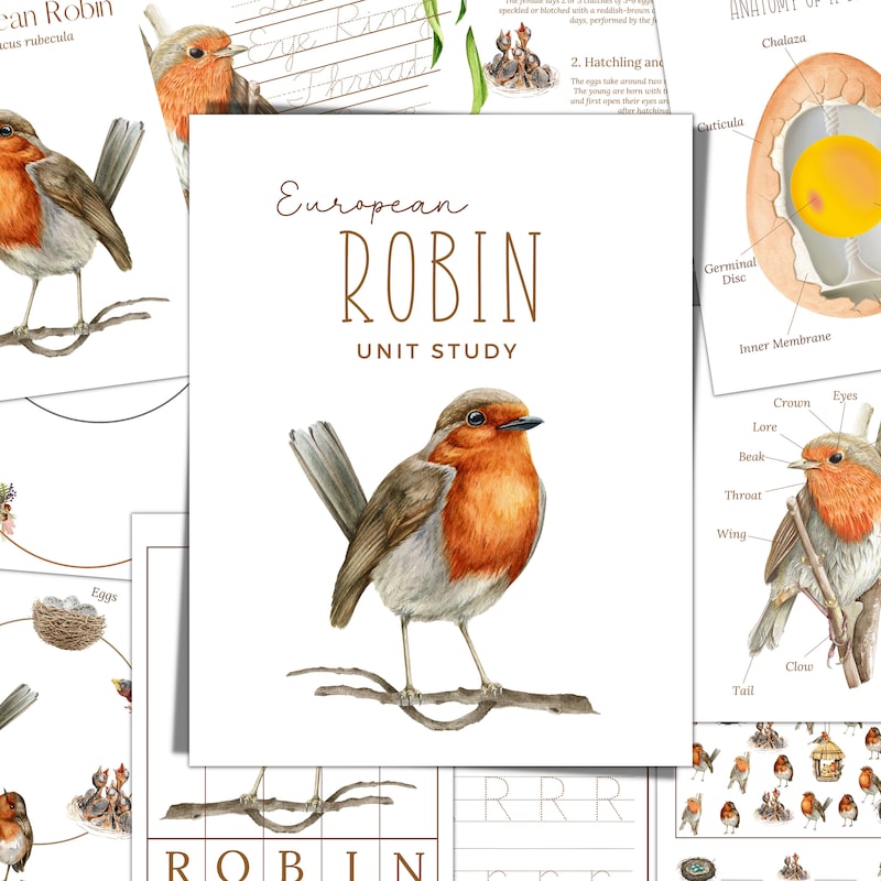 FunMomPrintables - Etsy