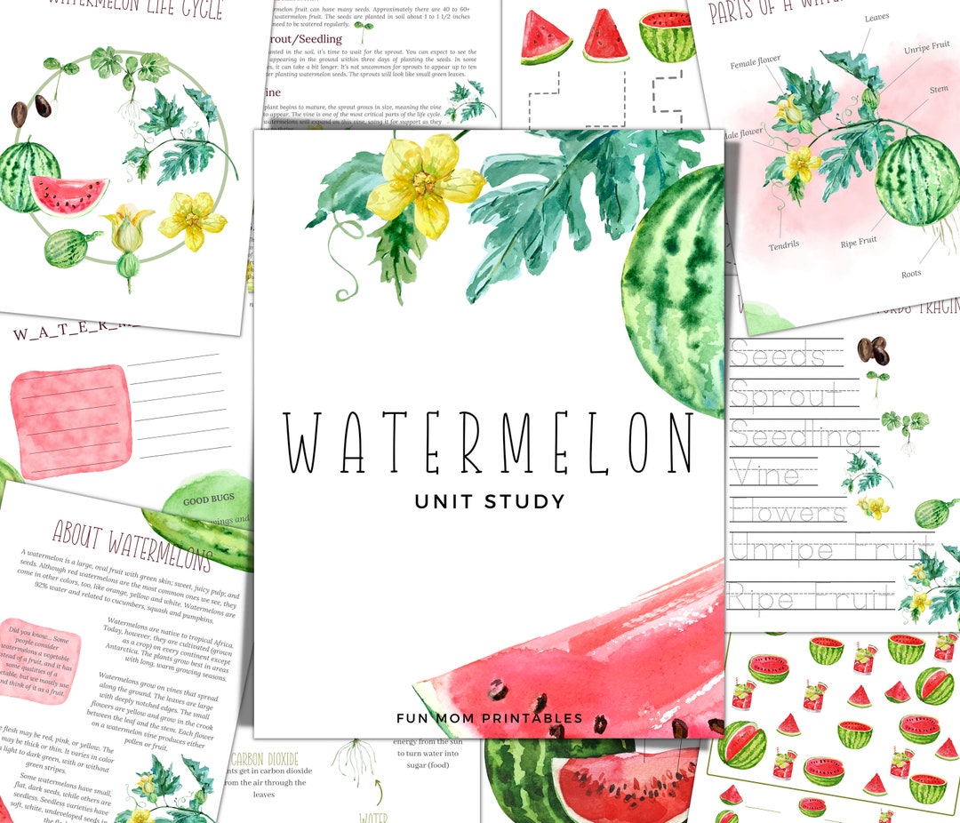 WATERMELON Unit Study, Life Cycle, Anatomy, Nature Study, Science ...