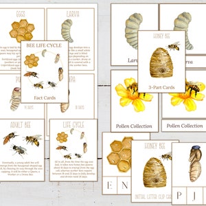 Honey Bees and Beekeeping Study Unit, Life Cycle, Anatomy, Nature Study ...