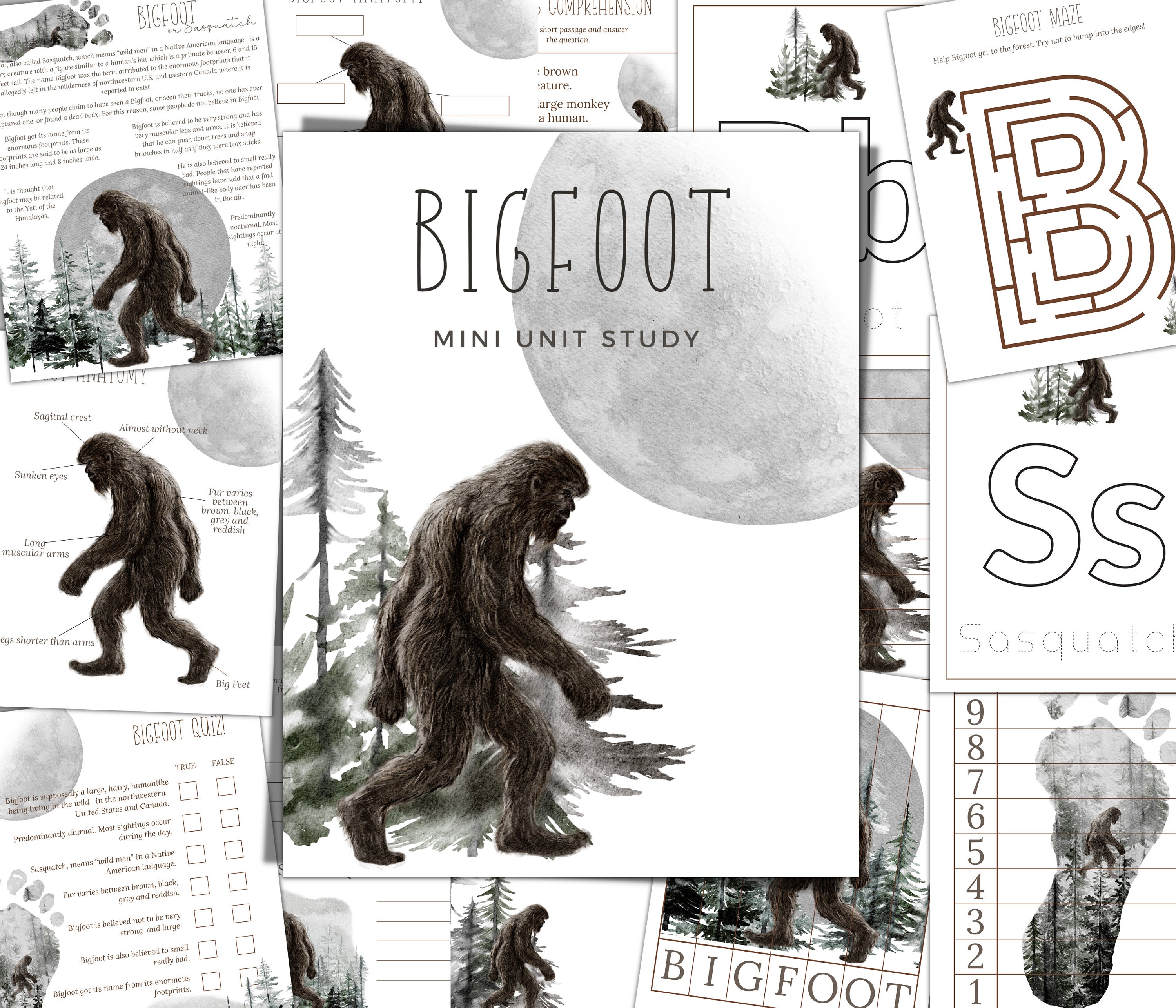 BIGFOOT Unit Study, Sasquatch, Anatomy, Nature Study, Science ...