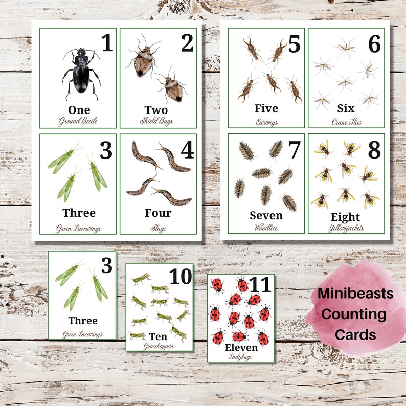 1 to 20 Minibeast Counting Cards, Bugs, Insects, Nature, Digital DIY ...
