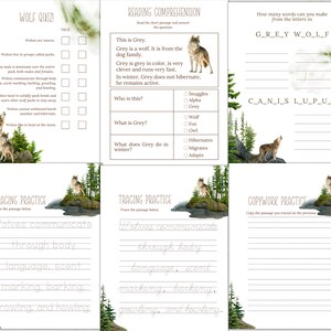 GREY WOLF Unit Study, Life Cycle, Anatomy, Nature Study, Science ...