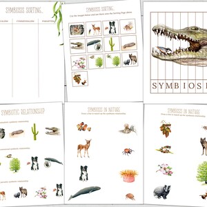 Symbiosis in Nature Unit Study: Homeschool Science (instant Download ...