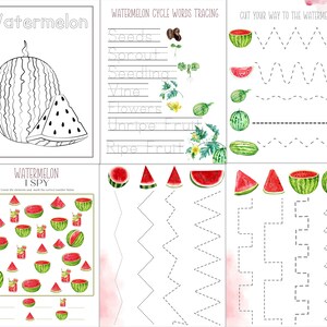 WATERMELON Unit Study, Life Cycle, Anatomy, Nature Study, Science ...