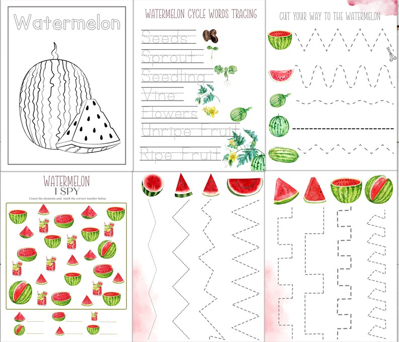 WATERMELON Unit Study, Life Cycle, Anatomy, Nature Study, Science ...