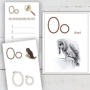 LETTER of the WEEK, O is for Owl, Letter O Activities, Alphabet ...