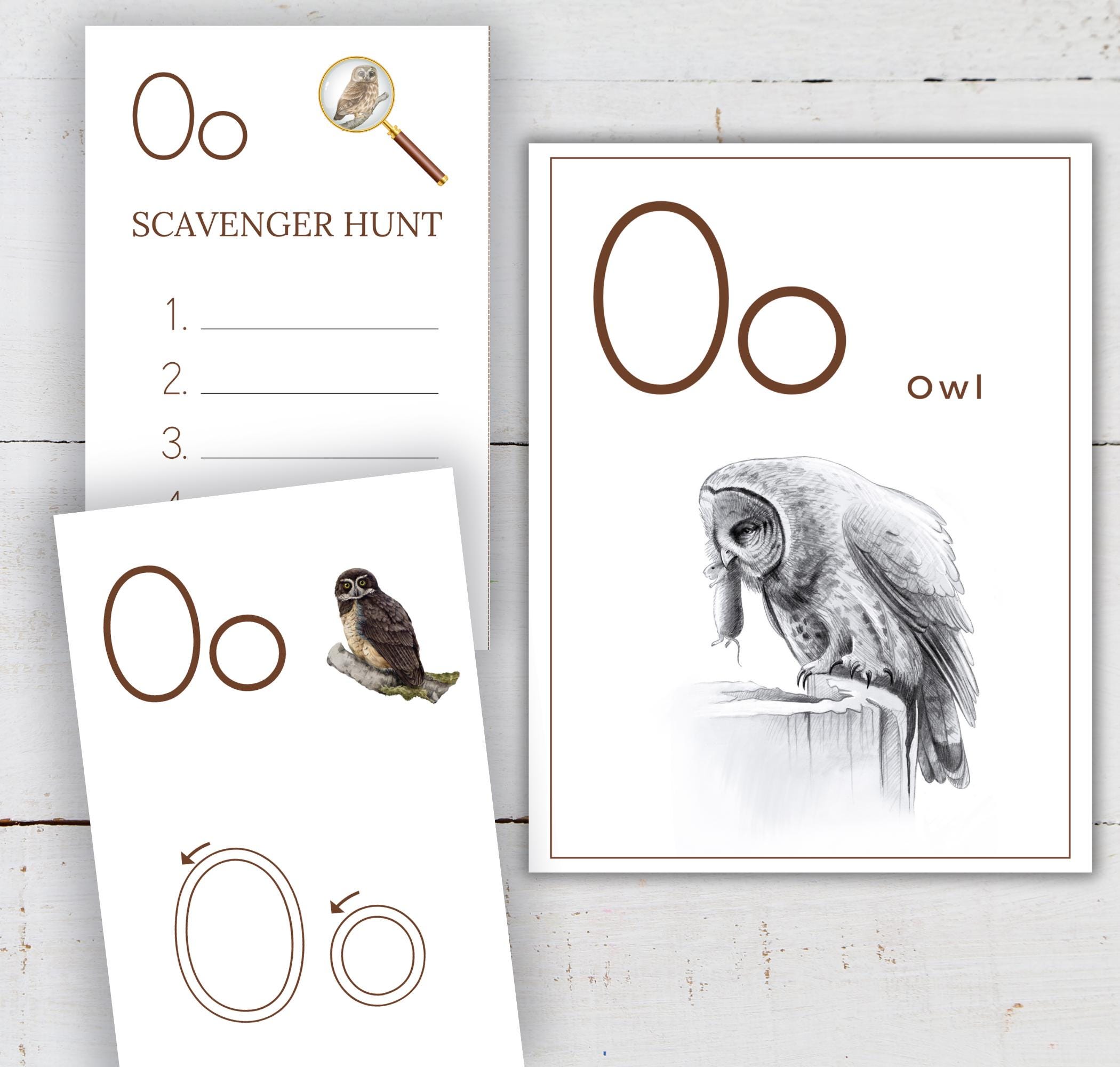 Letter O is for Owl - Alphabet Learning Printable (instant Download) - Etsy