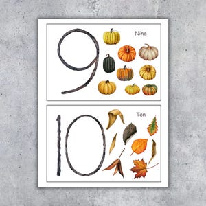AUTUMN/FALL NATURE Counting Flashcards, 1 to 10 Counting, Toddler ...