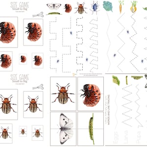 Garden Pests Unit Study: Homeschool Science (instant Download) - Etsy