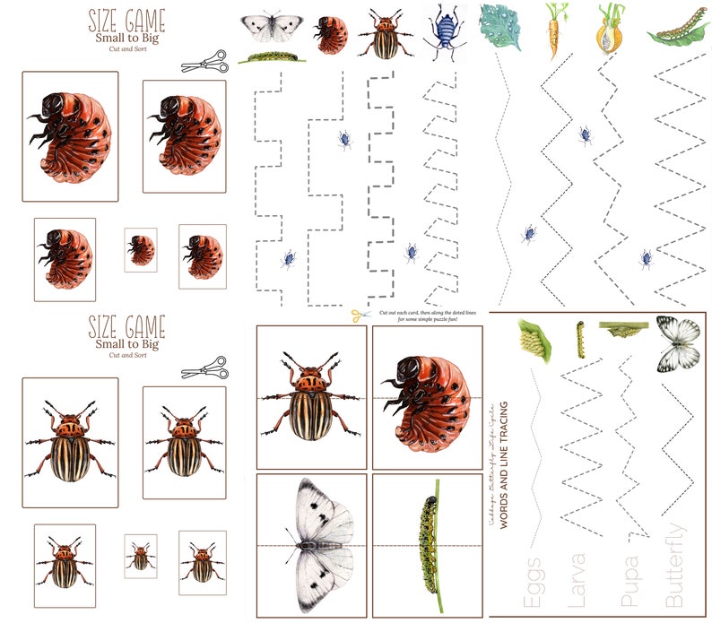 Garden Pests Unit Study: Homeschool Science (instant Download) - Etsy