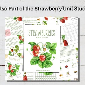 STRAWBERRY Life Cycle, Nature Study, Homeschool Printable, Instant ...