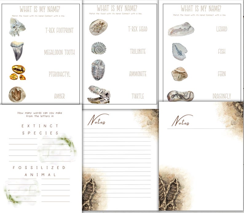 FOSSILS Unit Study, Anatomy, Nature Study, Science, Handwriting ...
