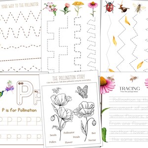 POLLINATORS Unit Study, Nature Study, Science, Handwriting, Homeschool ...