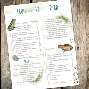 FROG Vs TOAD Venn Diagram Activity Homeschool Montessori | Etsy