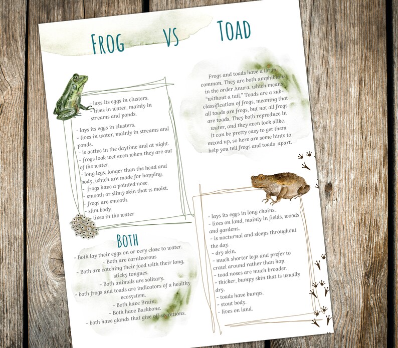 FROG Vs TOAD Venn Diagram Activity Homeschool Montessori | Etsy