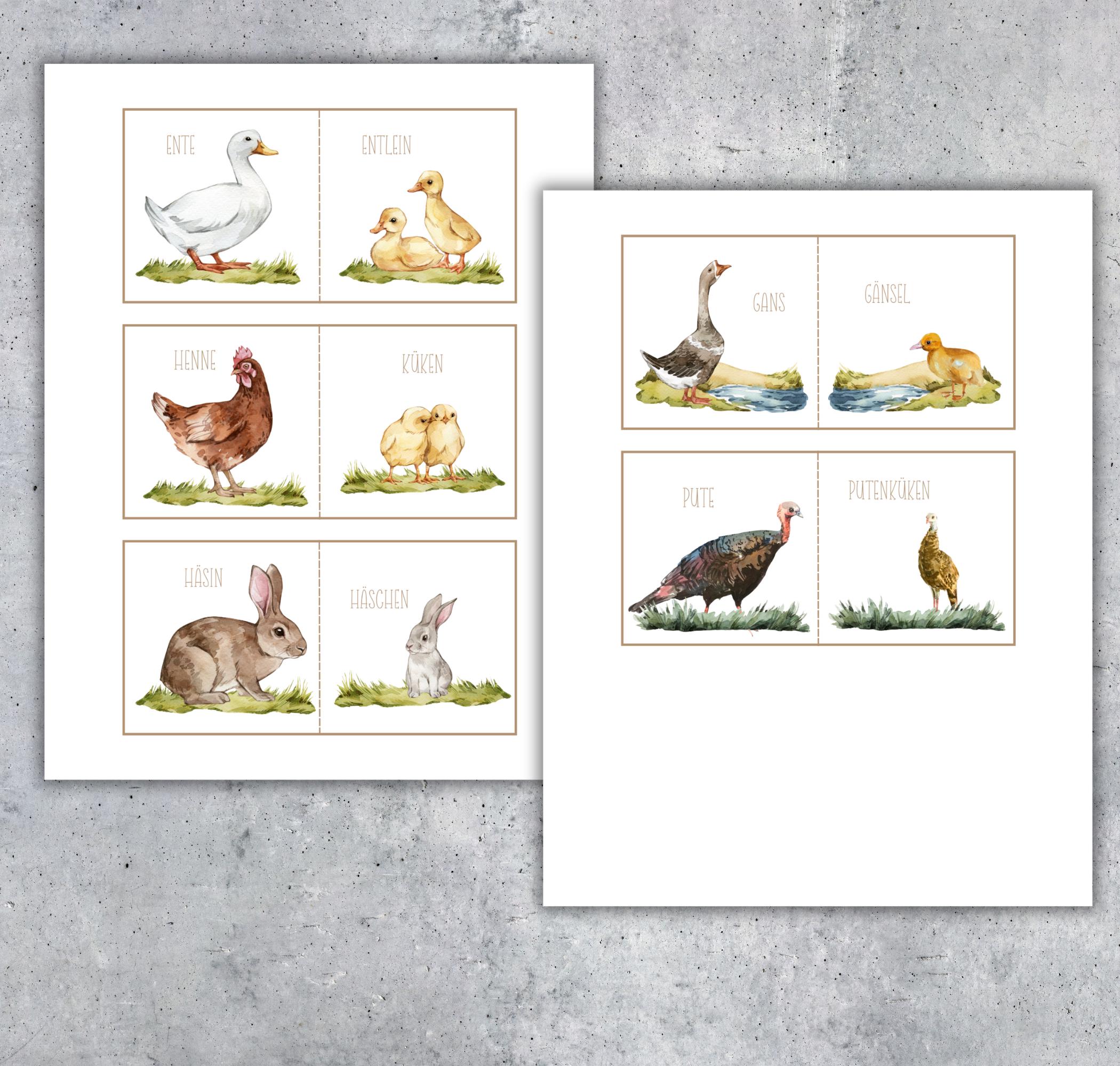 German Farm Animal Flashcards: Moms and Babies Matching Activity ...