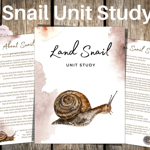 DRAGONFLY Unit Study Life Cycle Anatomy Nature Study - Etsy