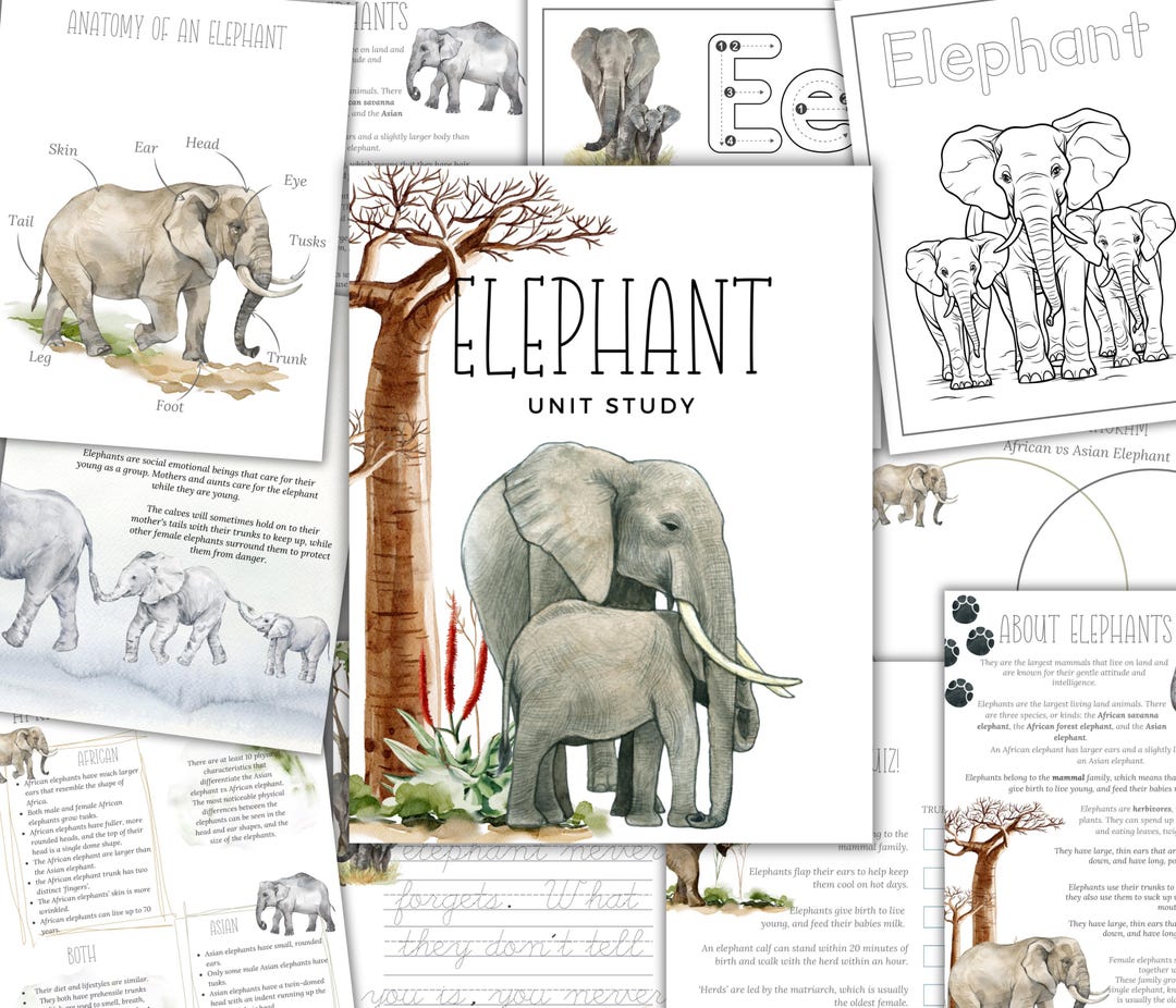 ELEPHANT Unit Study, Nature Study, Science, Handwriting, Homeschool ...