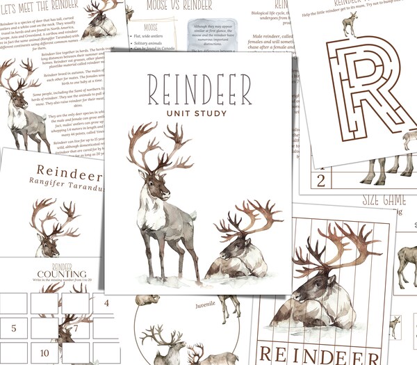 Winter Animals Unit Nature Study Homeschool Printable Prek - Etsy Canada