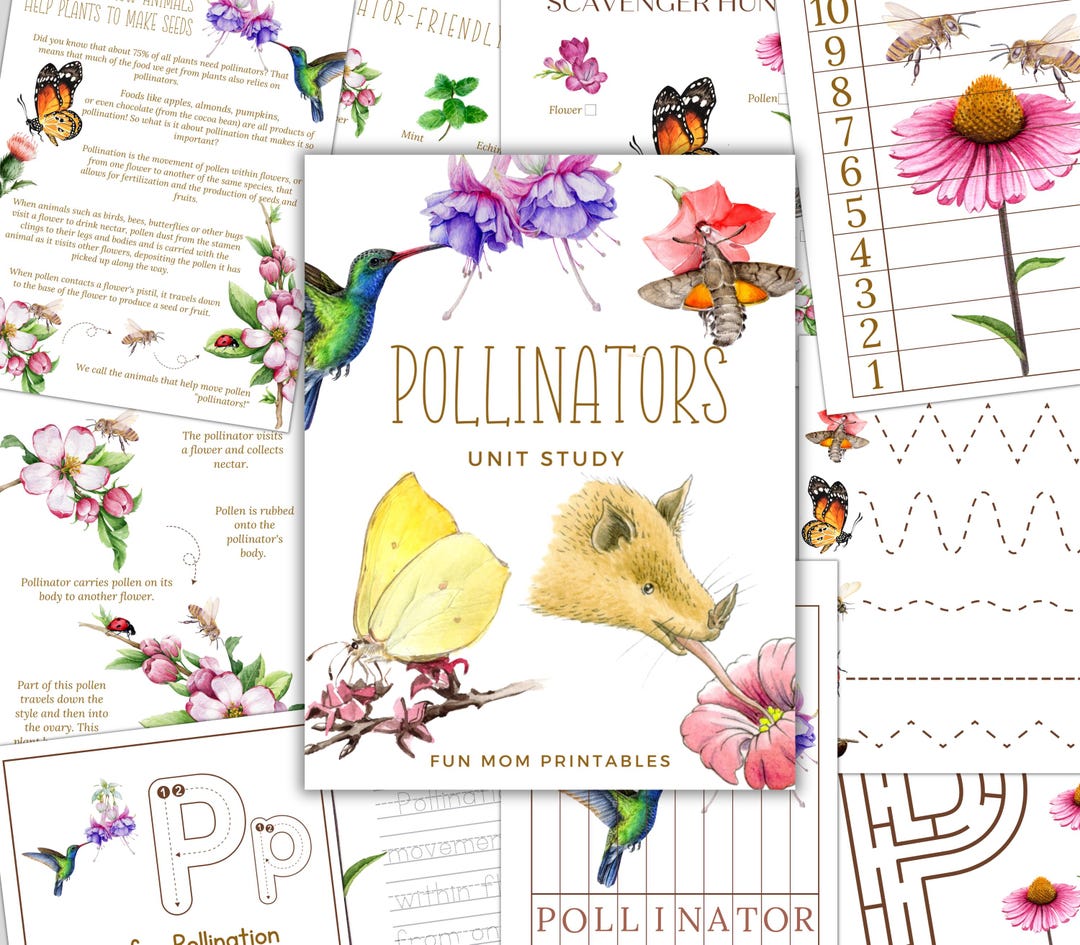 POLLINATORS Unit Study, Nature Study, Science, Handwriting, Homeschool ...