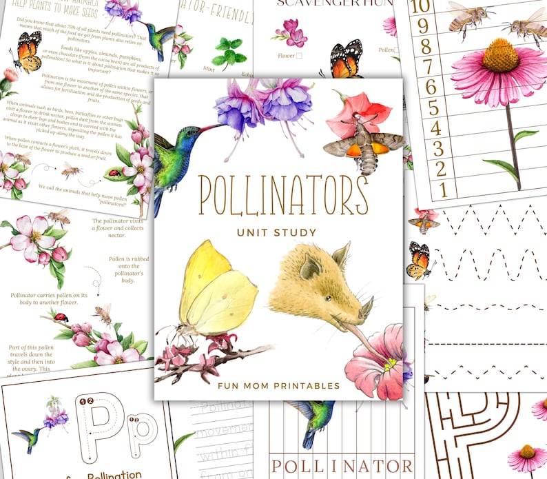 POLLINATORS Unit Study, Nature Study, Science, Handwriting, Homeschool ...