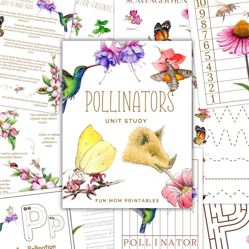 Pollinaters Unit Study - Etsy