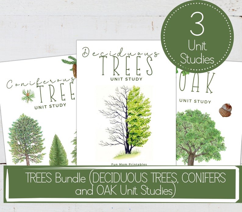 Trees Unit Study Bundle: Deciduous, Coniferous, Oak (instant Download ...