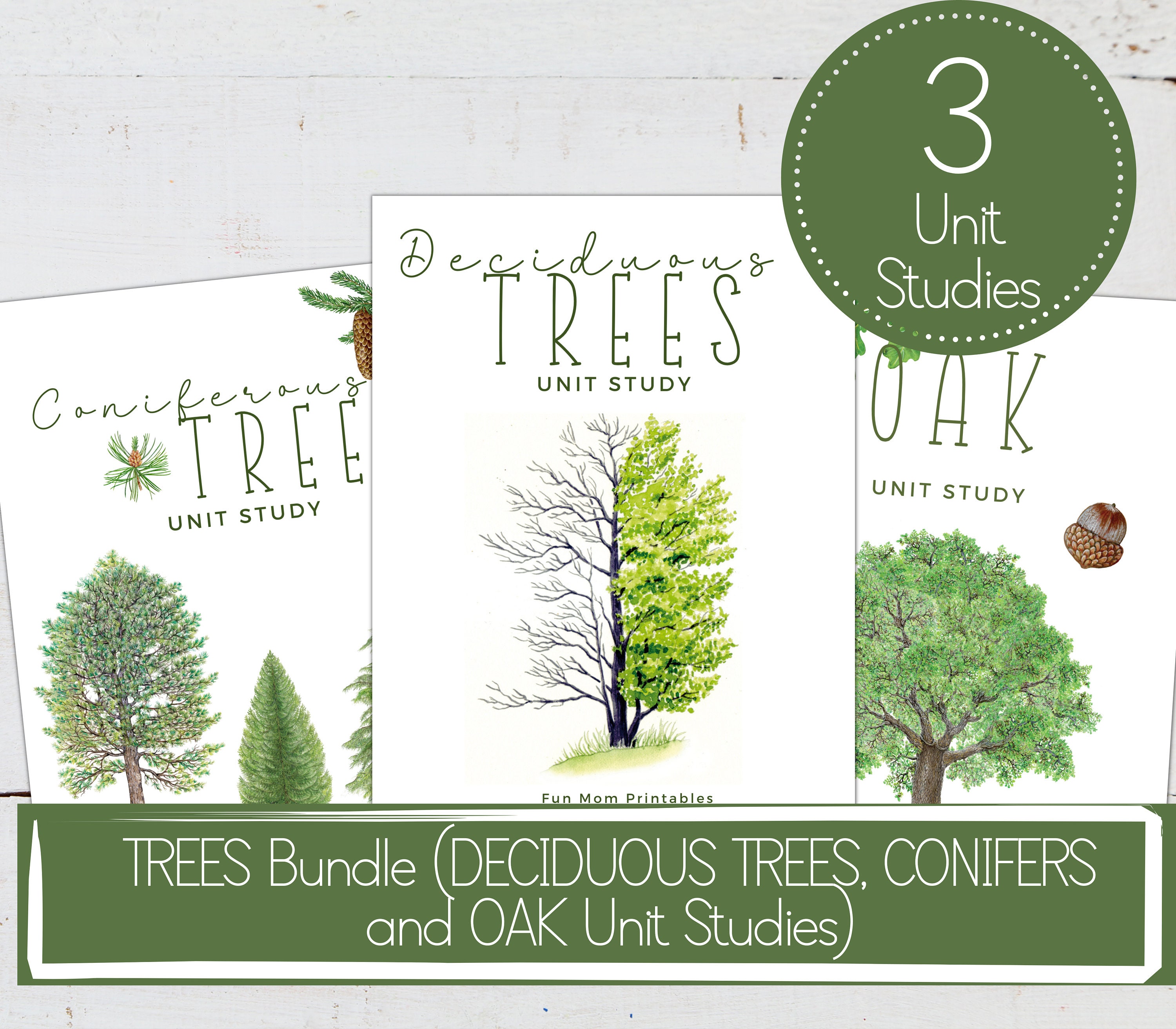 Trees Unit Study Bundle: Deciduous, Coniferous, Oak (instant Download ...