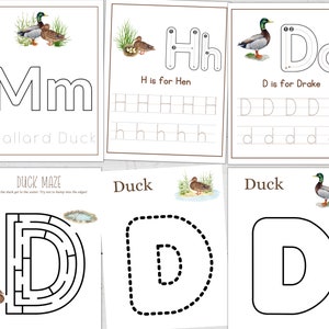 MALLARD DUCK Unit Study, Life Cycle, Anatomy, Nature Study, Science ...