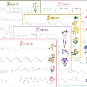 FLOWERS Mini Study Unit Life Cycle Anatomy Science - Etsy