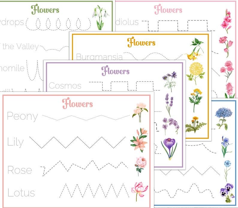 FLOWERS Mini Study Unit Life Cycle Anatomy Science - Etsy