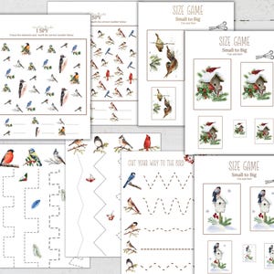 WINTER BIRDS Unit Study, Nature Study, Science, Handwriting, Homeschool ...