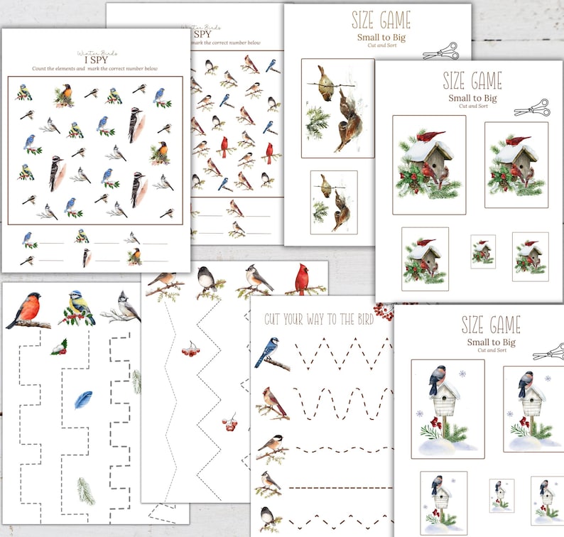 WINTER BIRDS Unit Study, Nature Study, Science, Handwriting, Homeschool ...