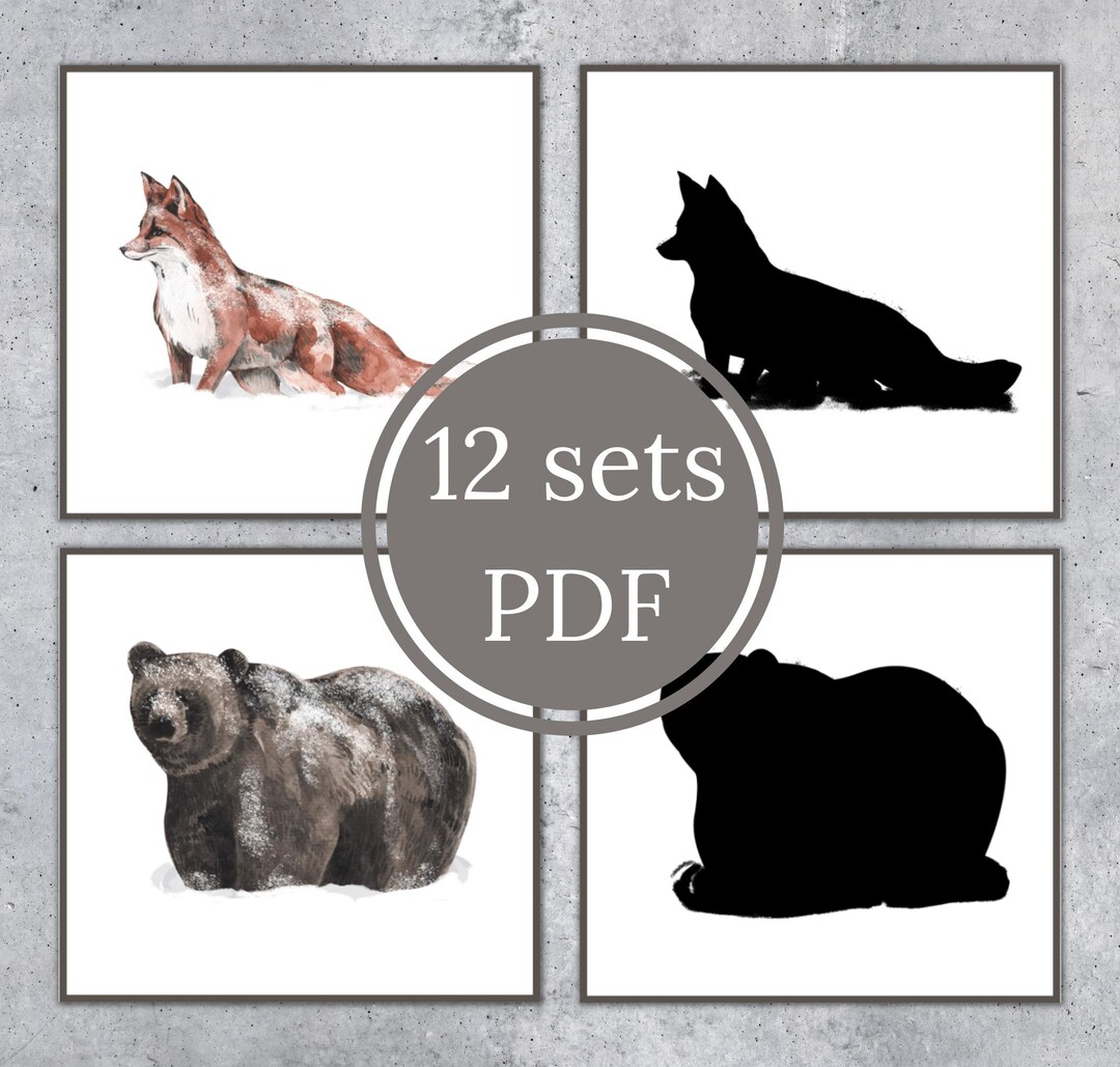 WINTER FOREST ANIMALS Shadow Matching Cards. Toddler Montessori ...