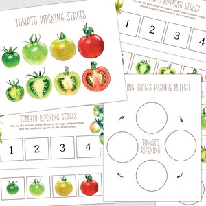 SUMMER GARDEN BUNDLE, Strawberry Unit, Blueberry Unit, Watermelon Unit ...