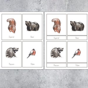WINTER FOREST Animals Montessori 3 Part Cards. Preschool Vocabulary ...