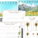 DANDELION Unit Study Life Cycle Anatomy Nature Study - Etsy
