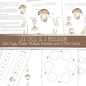 Mushroom Unit Study: Life Cycle, Anatomy, Homeschool Printable (instant ...