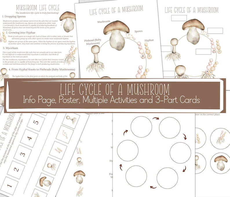Mushroom Unit Study: Life Cycle, Anatomy, Homeschool Printable (instant ...